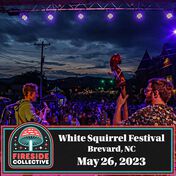 Fireside Collective Live Concert Setlist at White Squirrel Festival ...
