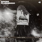 Doom Flamingo Live Concert Setlist at Lincoln Theatre, Raleigh, NC on ...