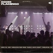 Doom Flamingo Live Concert Setlist at The Charleston Pour House ...