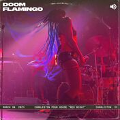 Doom Flamingo Live Concert Setlist at The Charleston Pour House ...